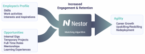 Skills-First: A New Framework for Talent Management - Nestor