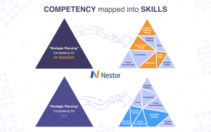 Skills vs Competencies: Key Differences and Why They Matter - Nestor